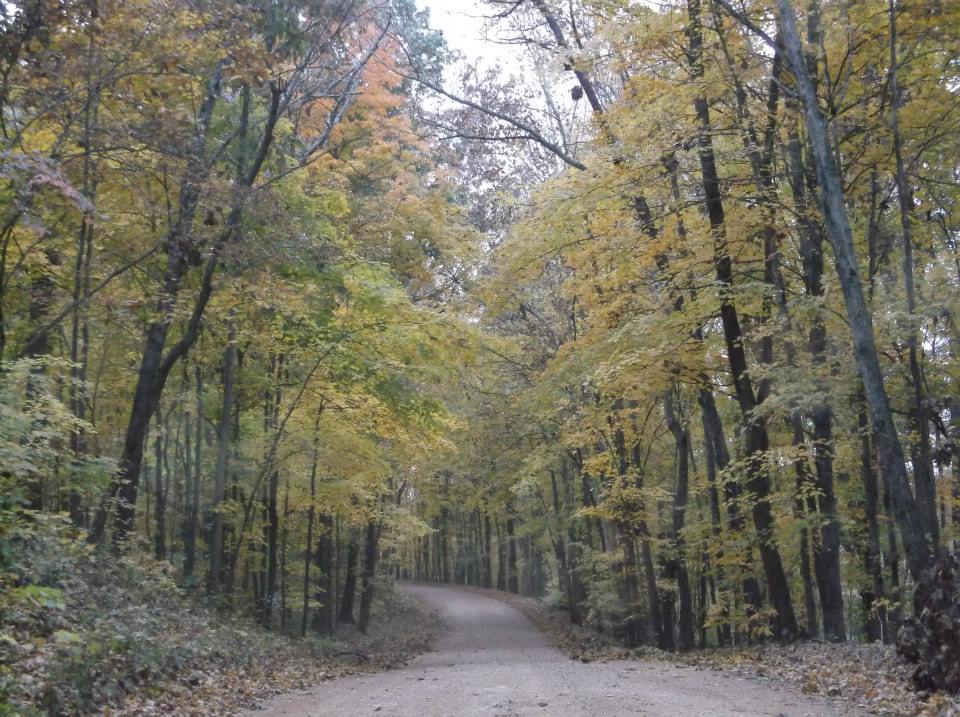 Fall Sunday Morning | Pics4Learning