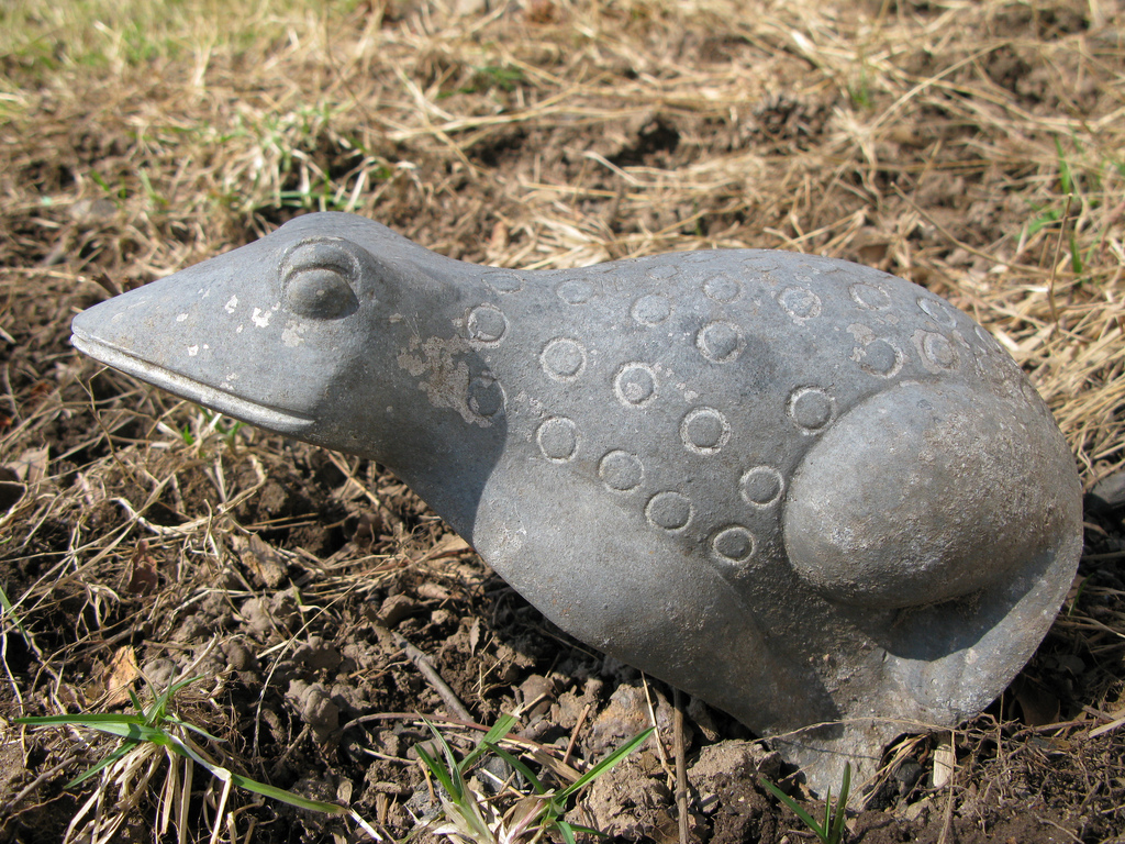 Decorative Frog | Pics4Learning