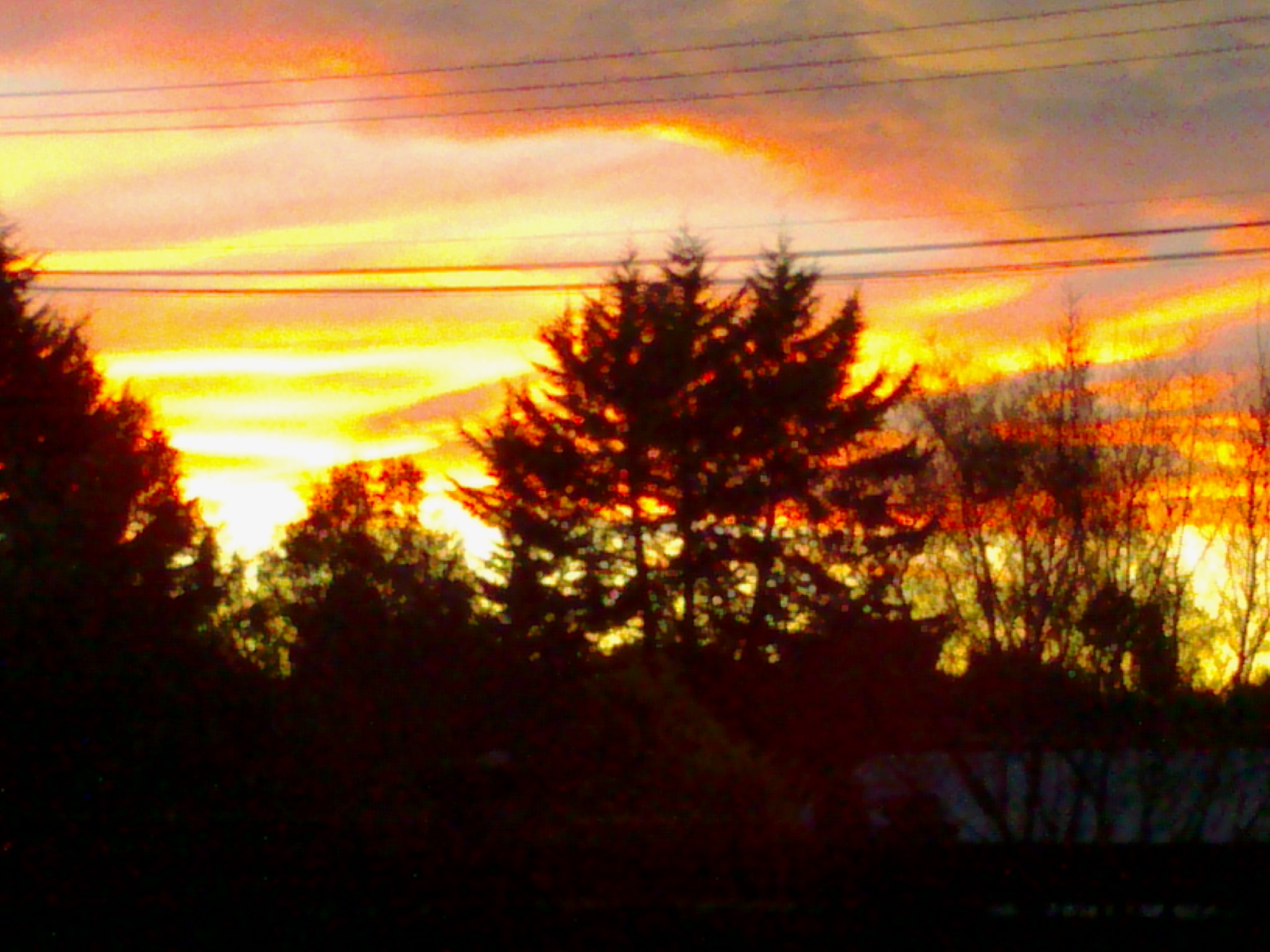 Timaru sunrise | Pics4Learning