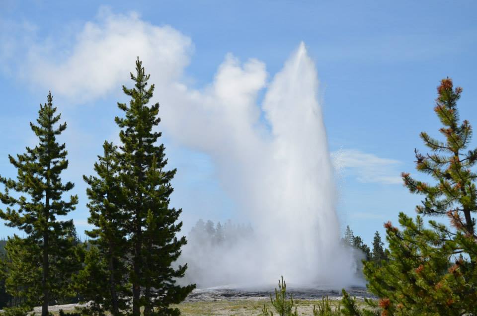 Old Faithful gyser | Pics4Learning