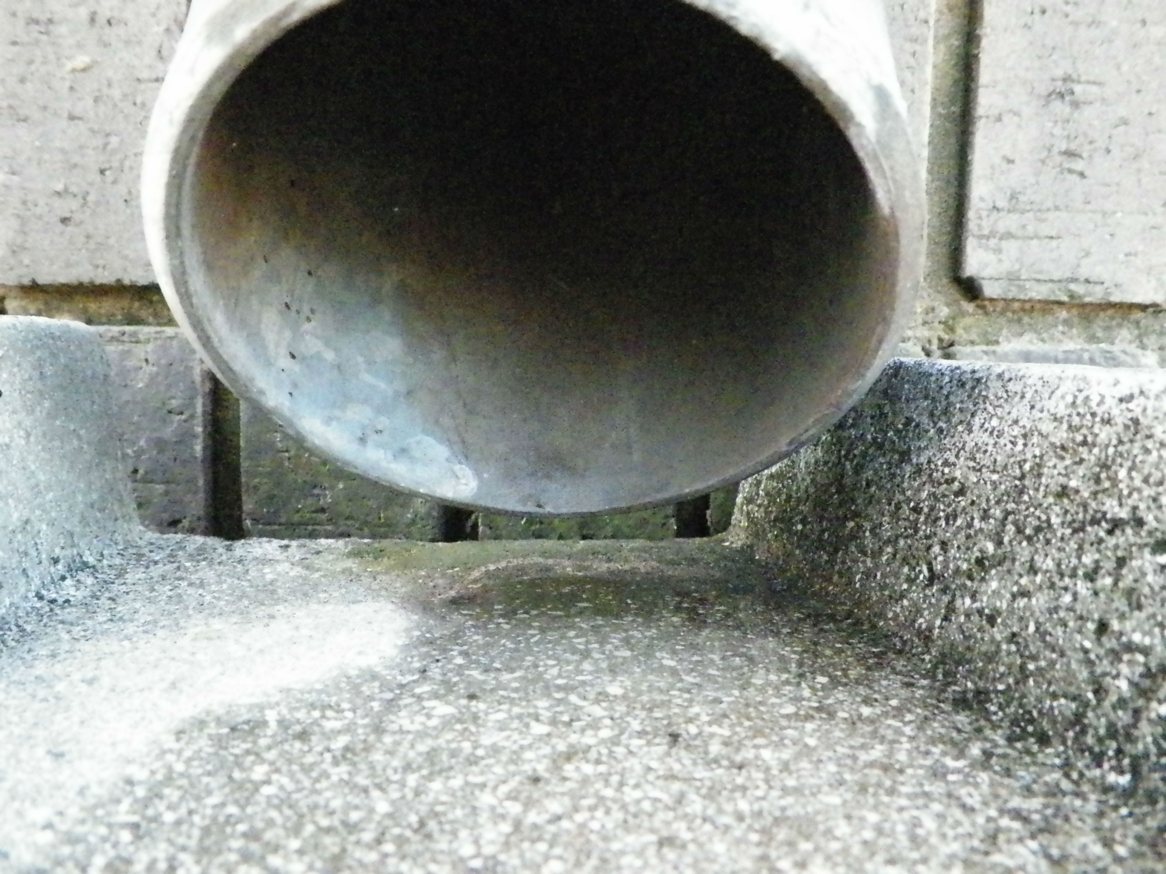 Inside of a pipe | Pics4Learning