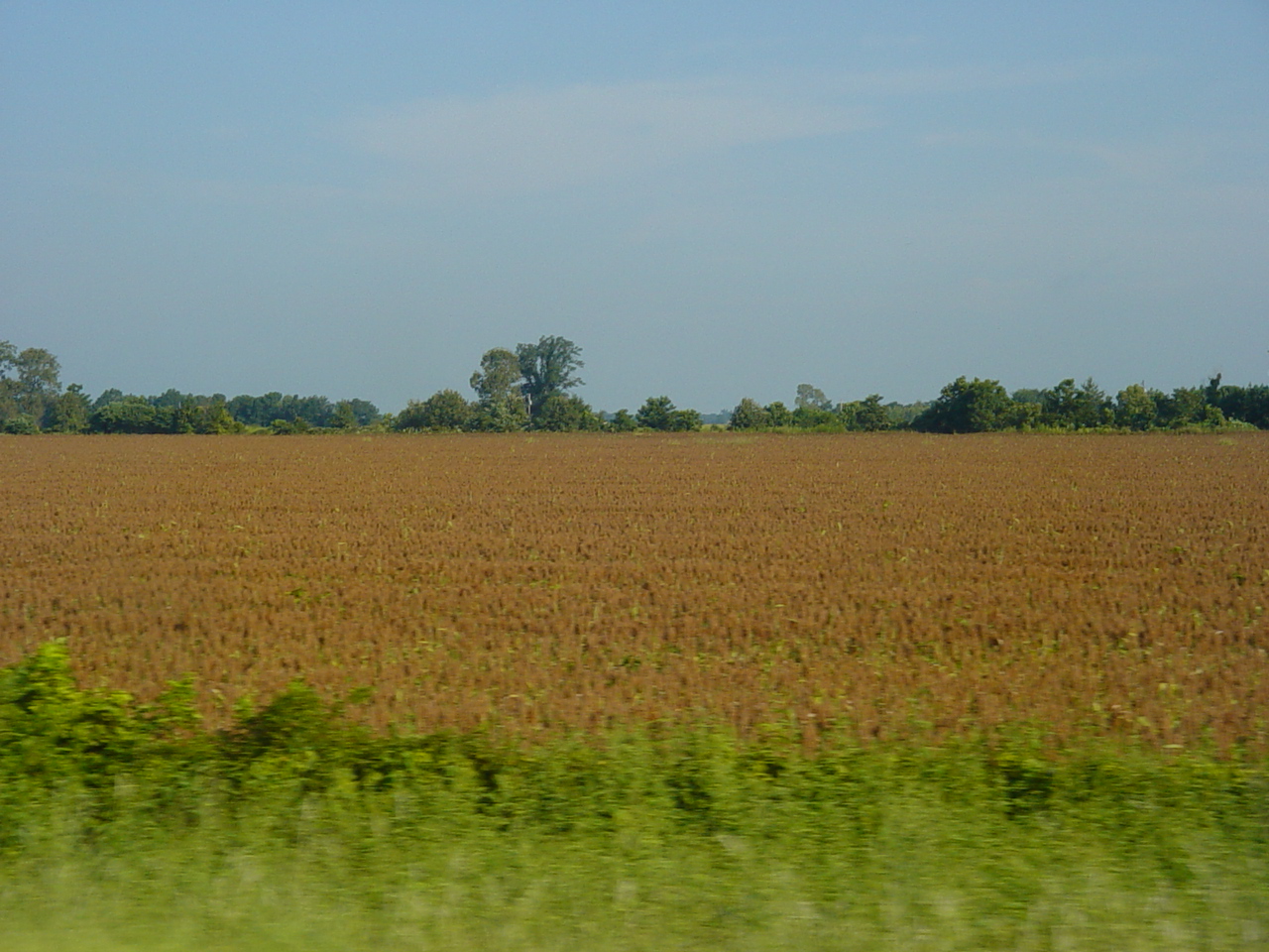 Arkansas farmland | Pics4Learning