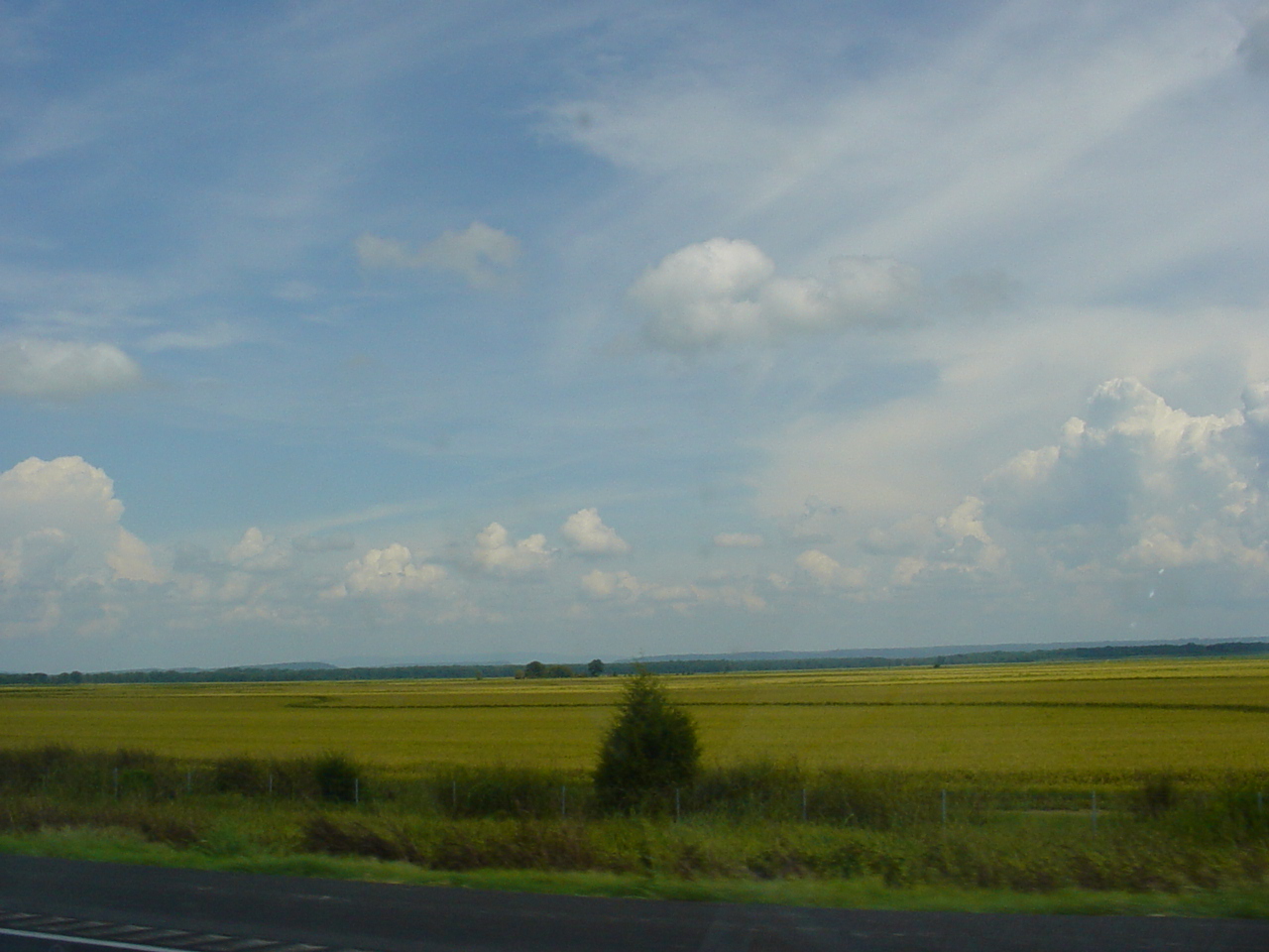 Arkansas farmland | Pics4Learning