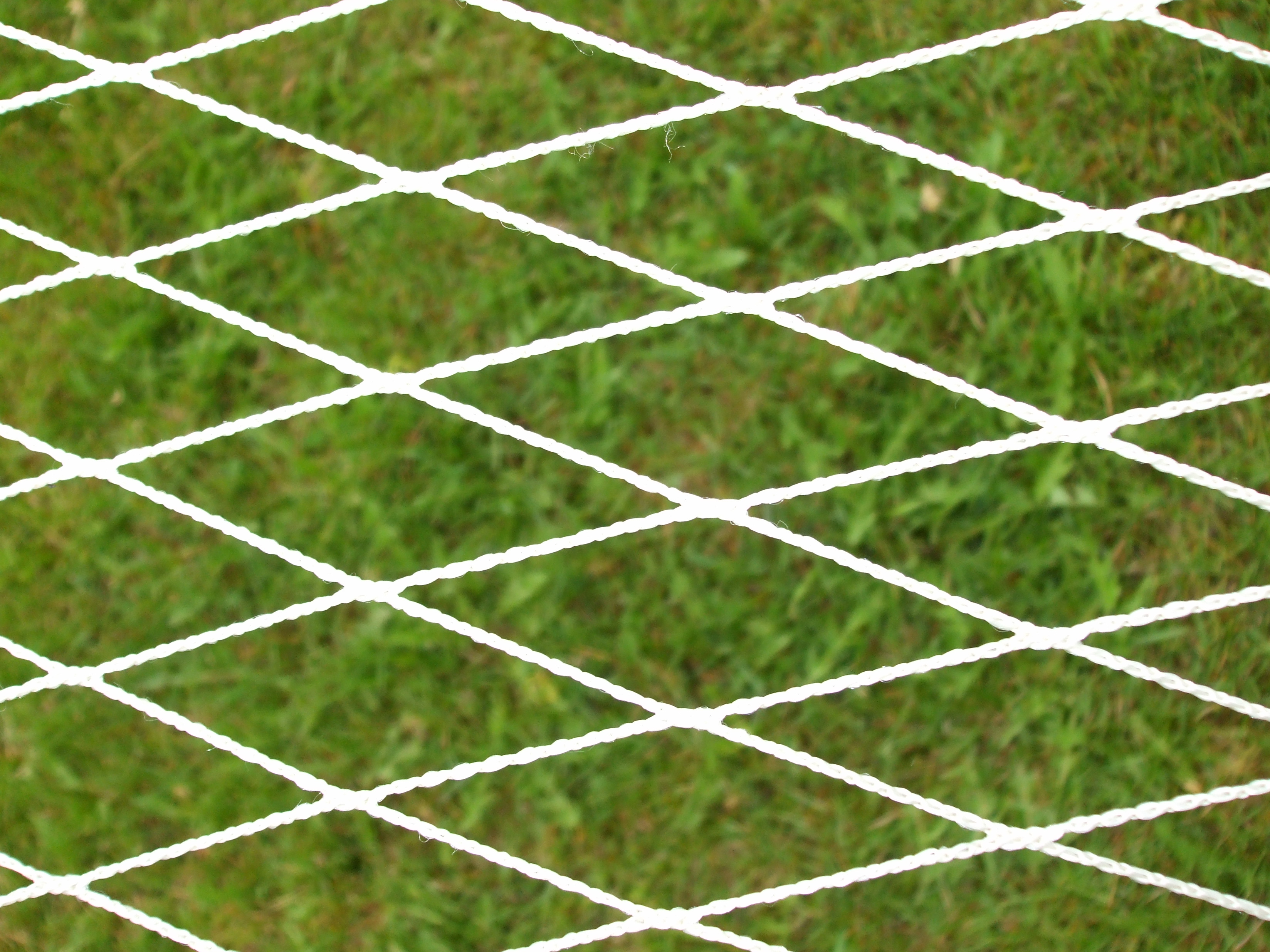 mesh netting | Pics4Learning