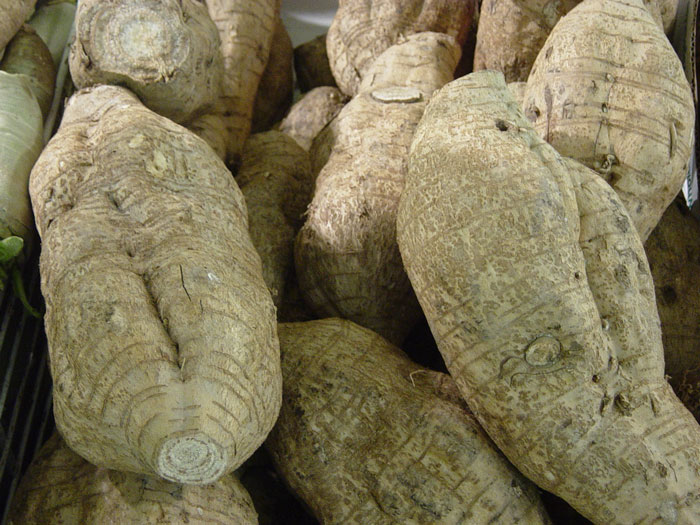Arrowroot | Pics4Learning