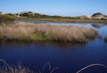 Back Bay National Wildlife Refuge | Pics4Learning