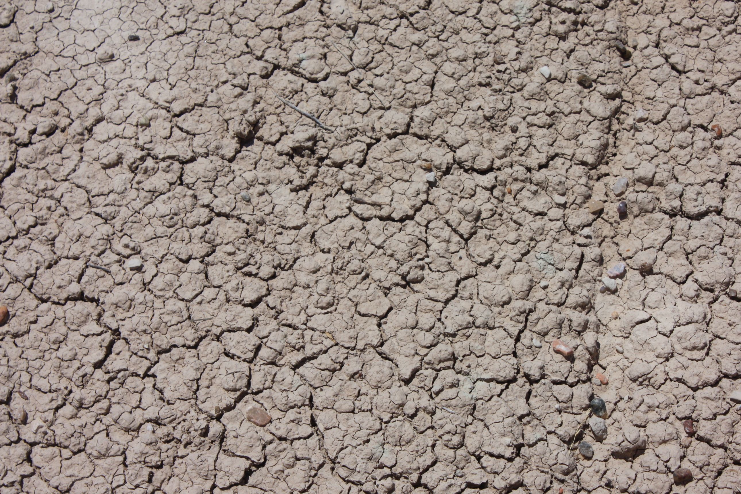 Dry Earth | Pics4Learning