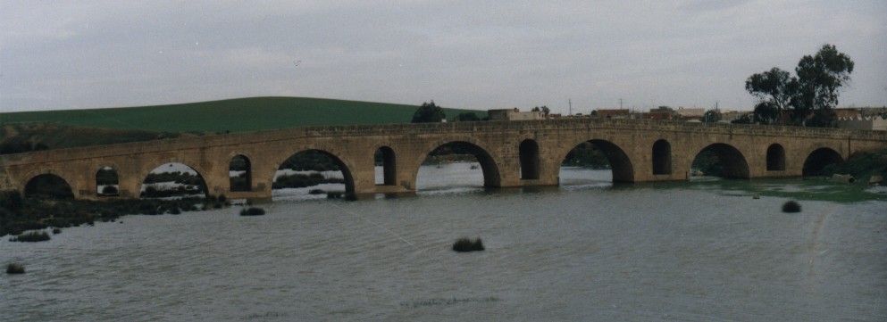 Masonry bridge in Tunisia, buid at about 1550. | Pics4Learning