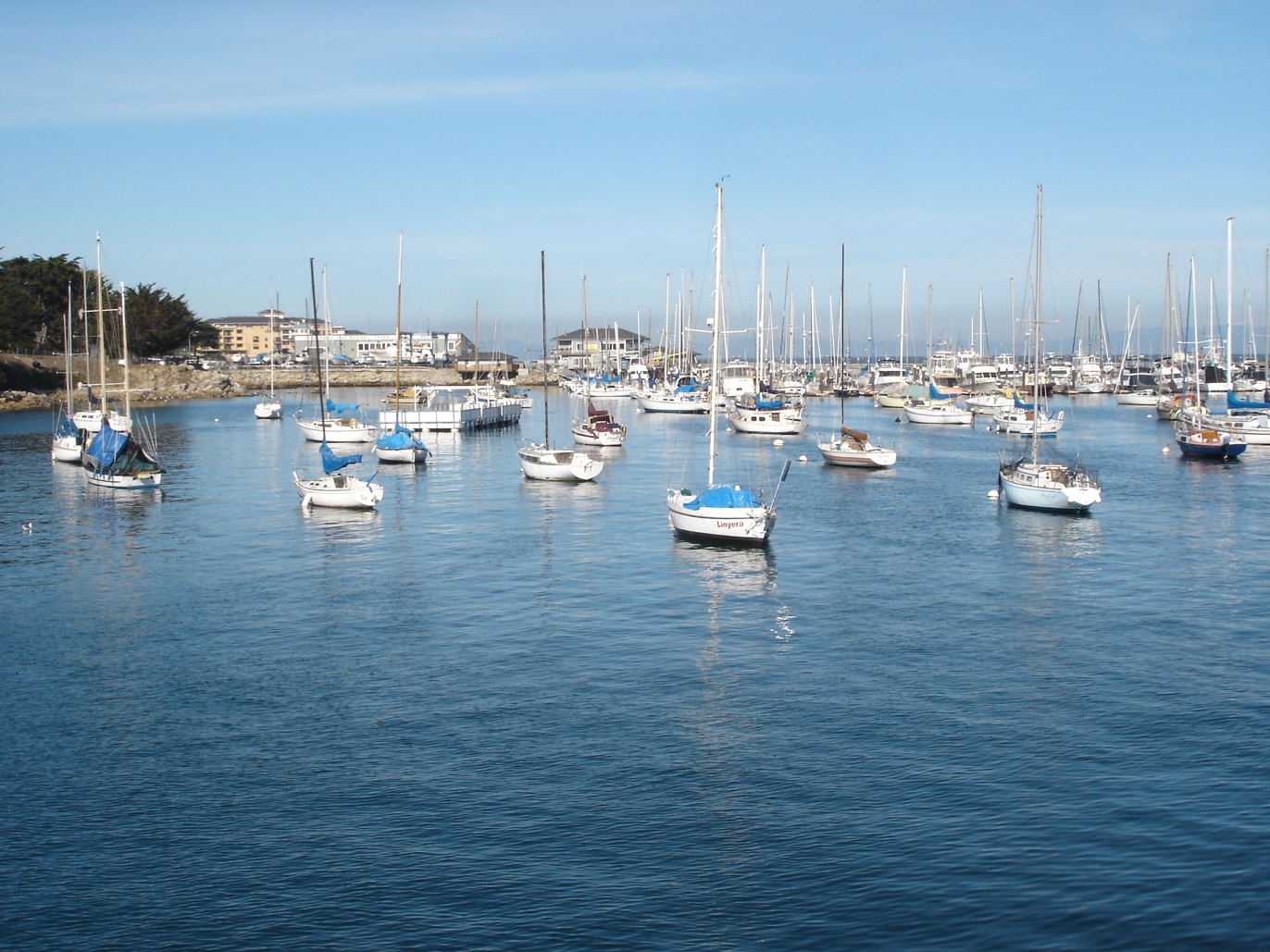 Boats in the Bay | Pics4Learning