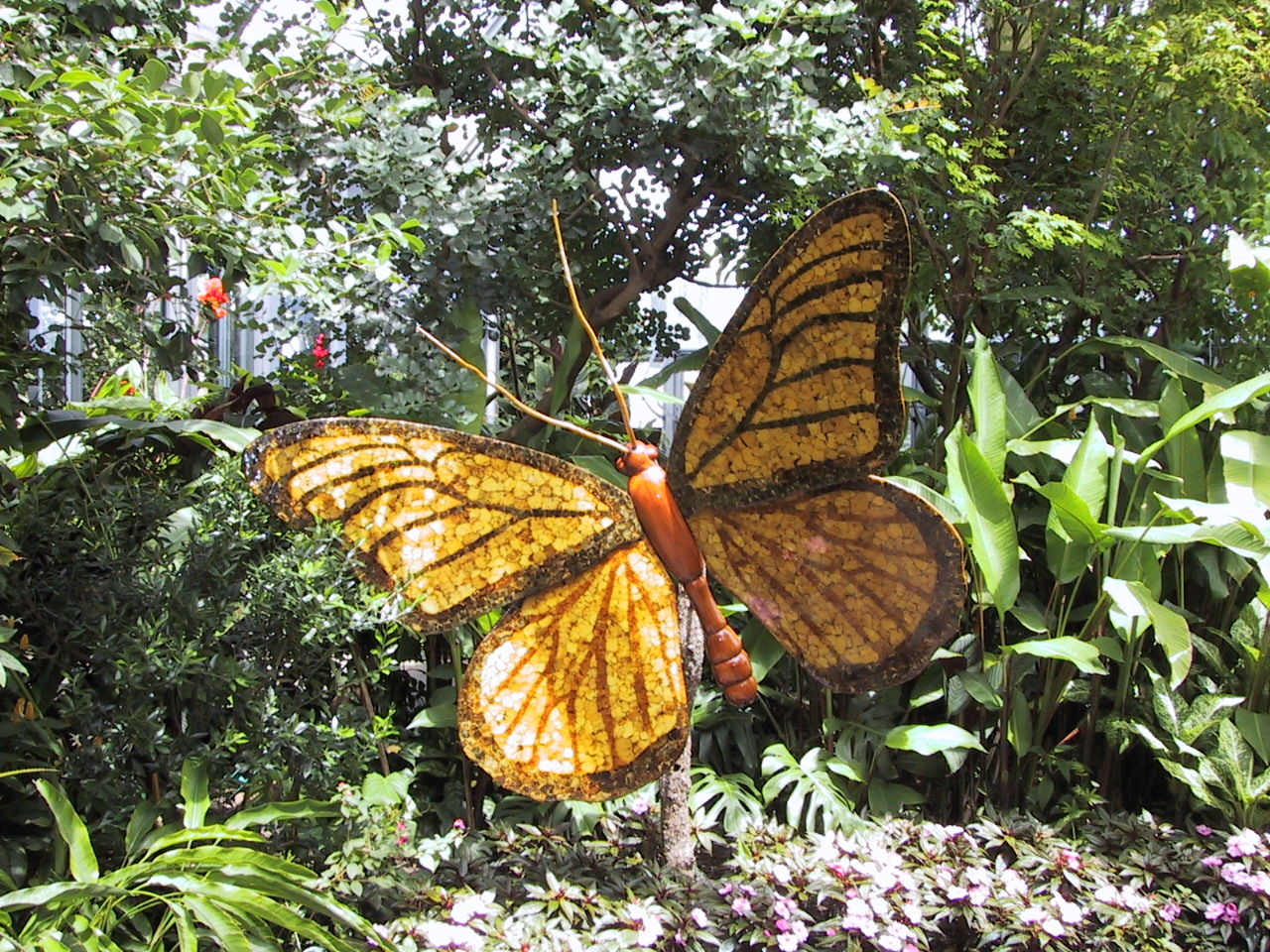 Butterfly by David Rogers | Pics4Learning