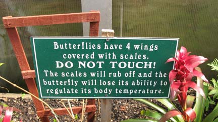butterfly warning sign | Pics4Learning