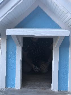 Free Photos for Education | Pics4Learning