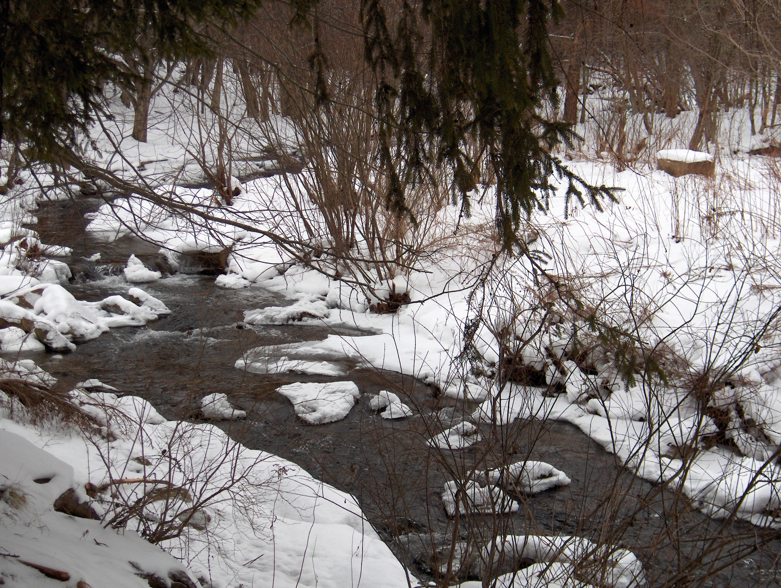 Stream in Winter | Pics4Learning