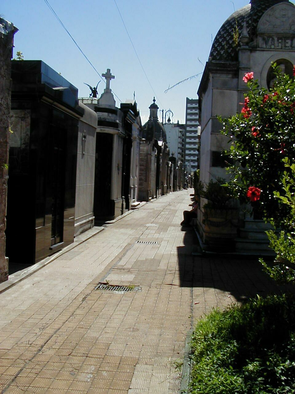 Cemetery street of tombs | Pics4Learning