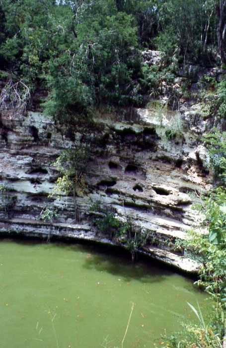 Cenote at Chichen Itza, a sacrificial pool in limestone rock ...