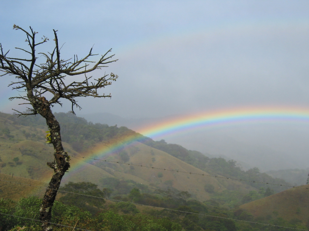 Rainbow in the cloud-forest | Pics4Learning