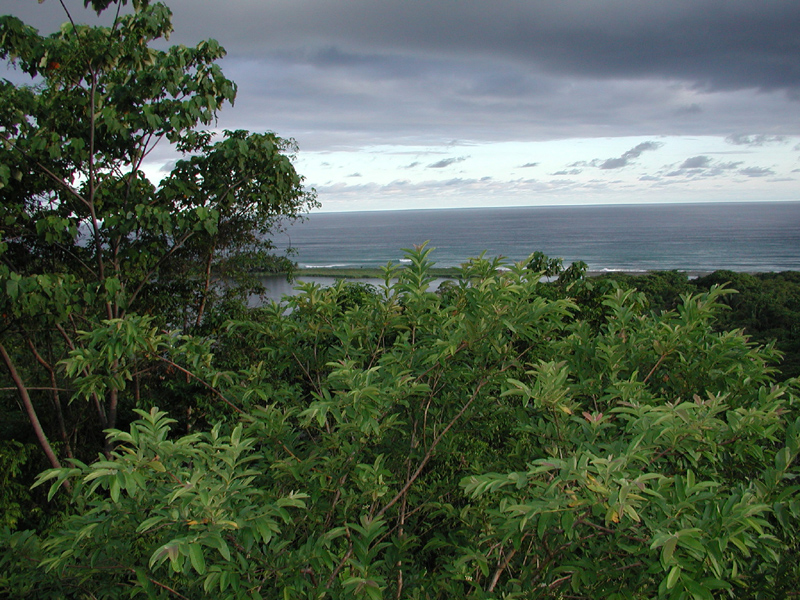 Costa Rican Coast | Pics4Learning