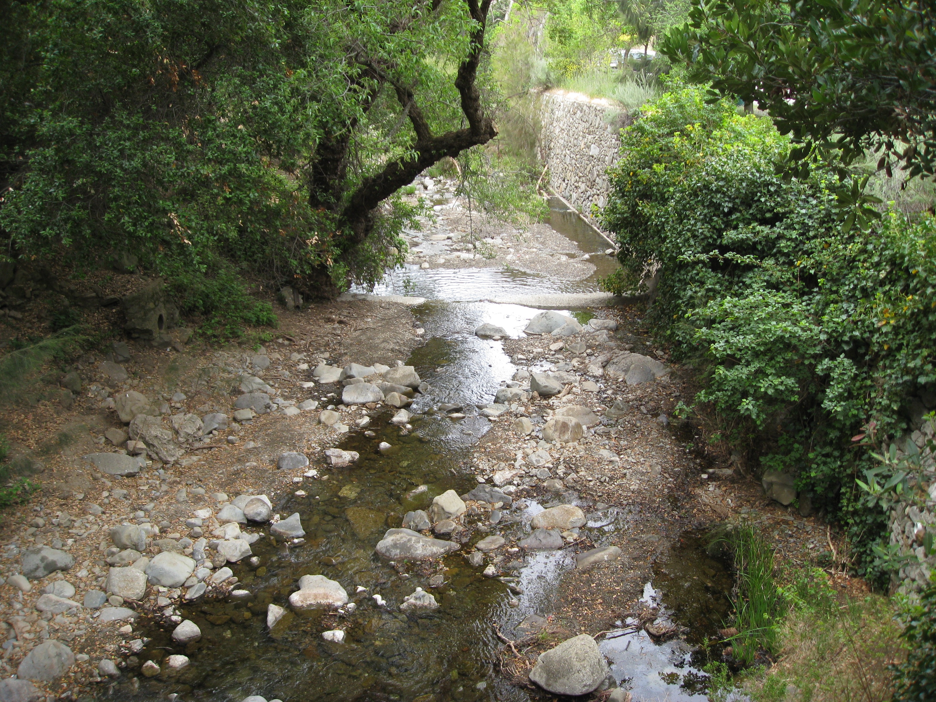 Creek in Alum Rock Park, California | Pics4Learning