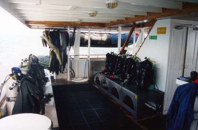 Sky Dancer dive deck | Pics4Learning