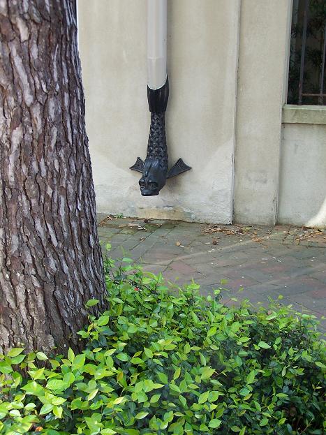 Dolphin Downspout | Pics4Learning