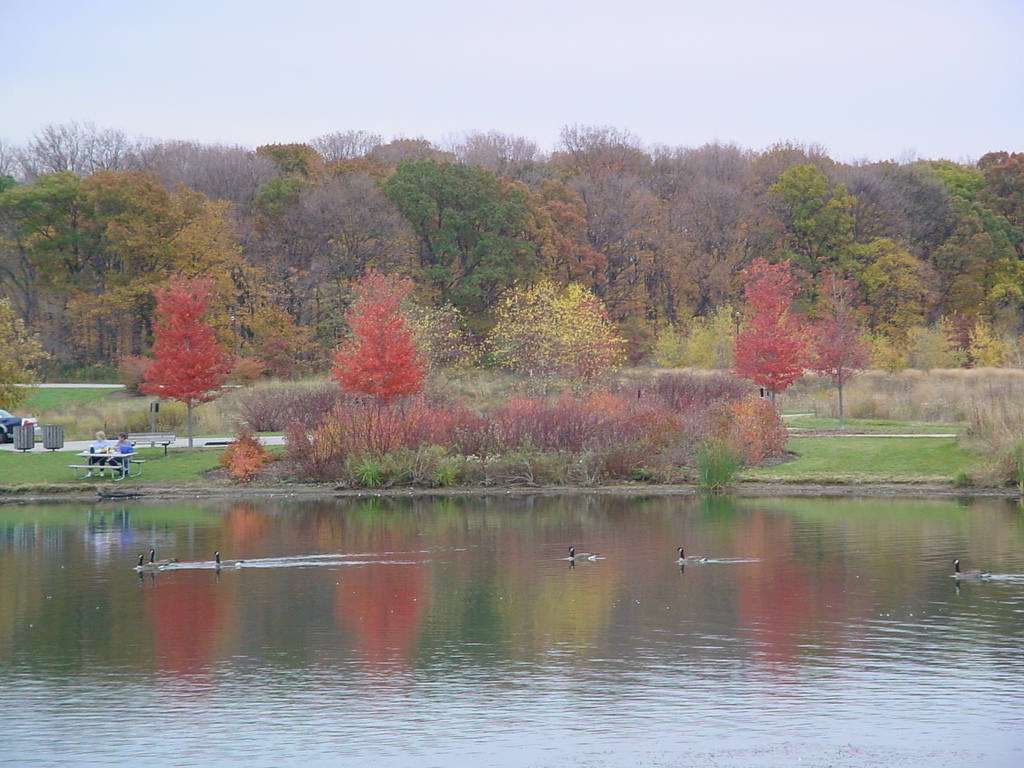 Fall colors across the pond | Pics4Learning