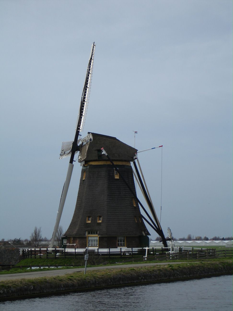 Windmill | Pics4Learning