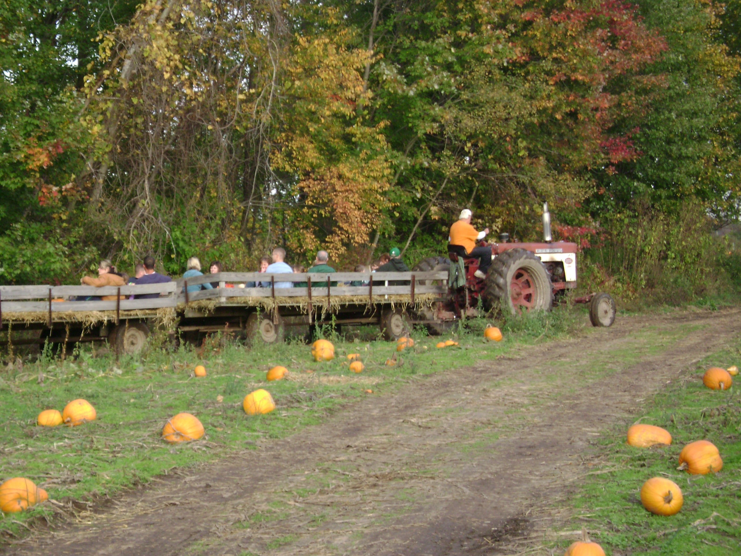 hay ride | Pics4Learning