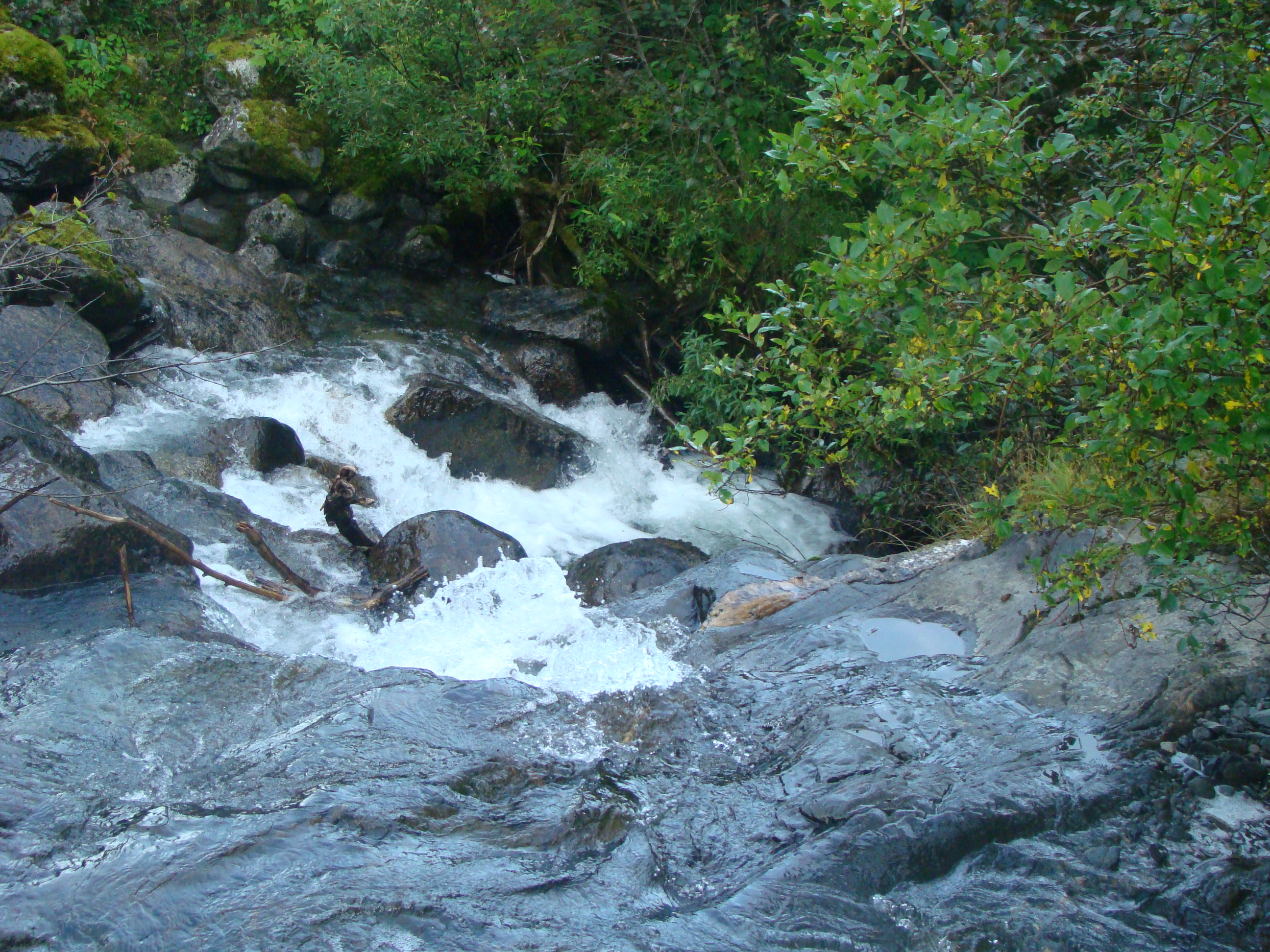 creek | Pics4Learning