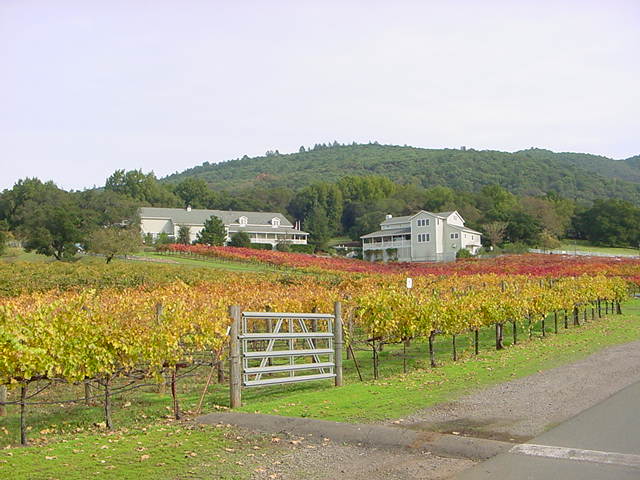 Arrowood Winery | Pics4Learning