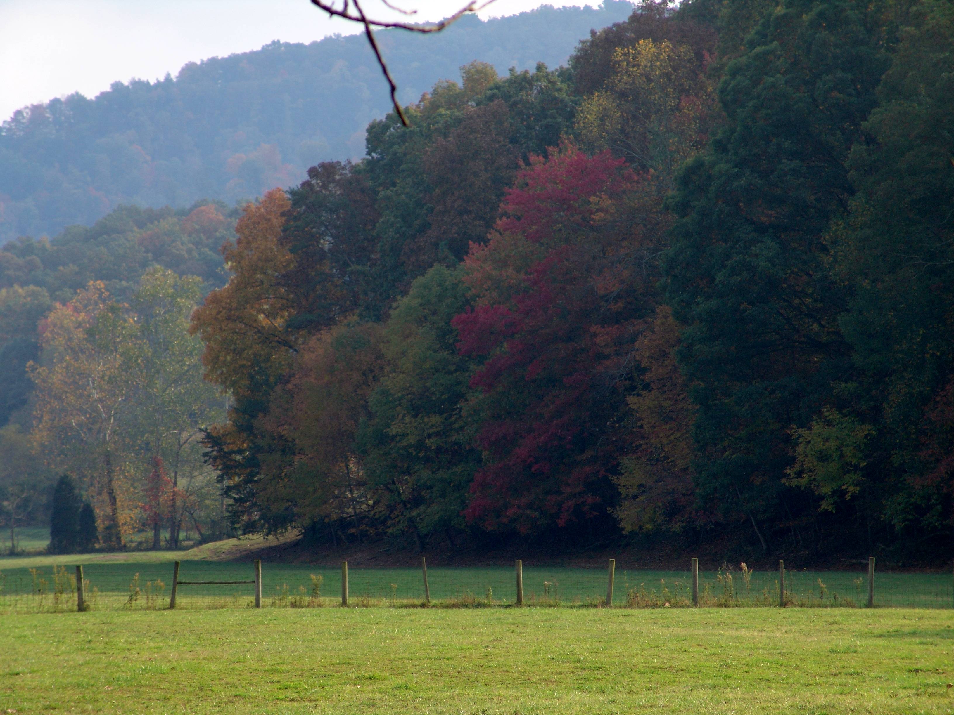 Fall Colors 016 | Pics4Learning