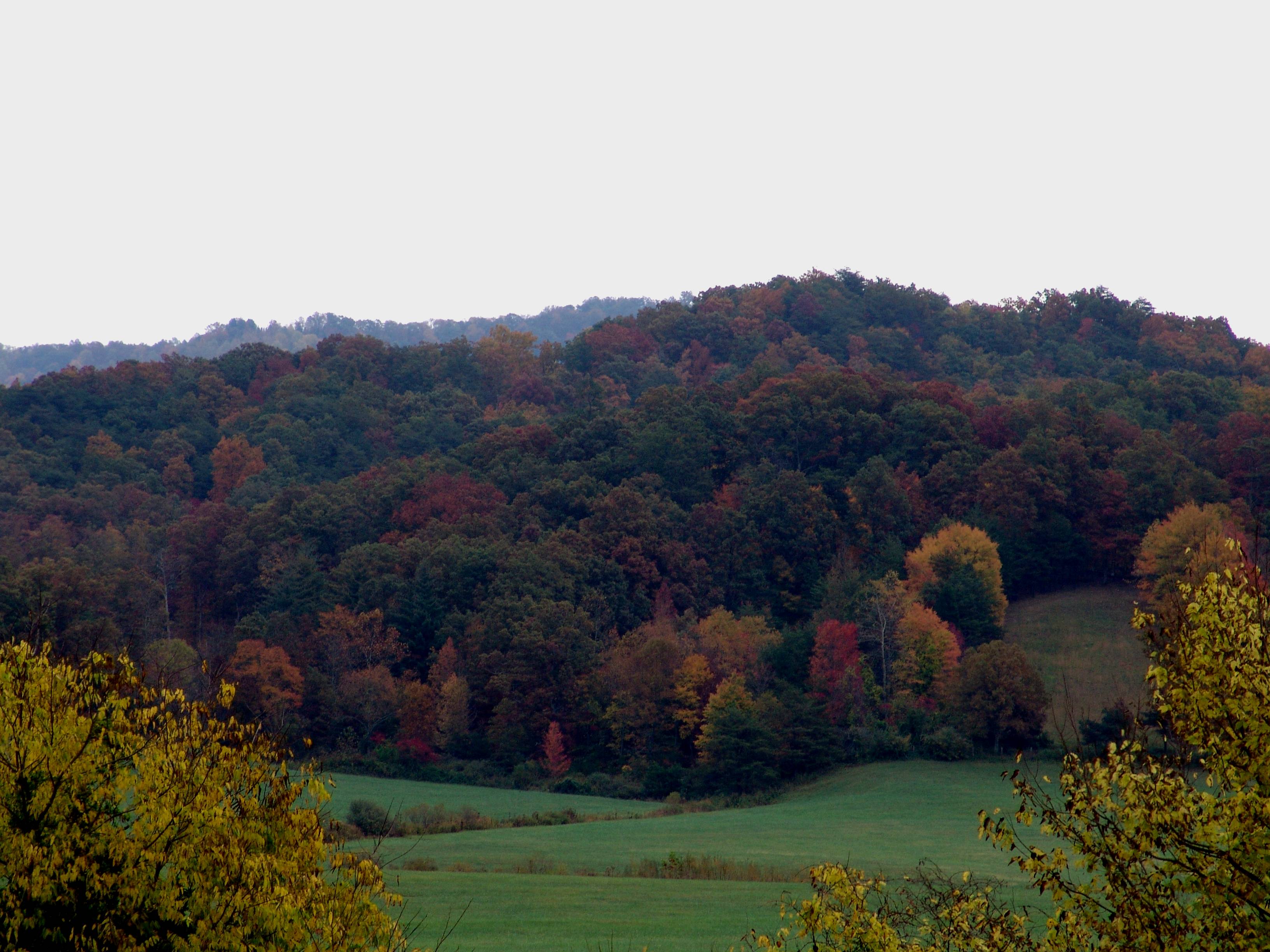 Fall Color 054 | Pics4Learning