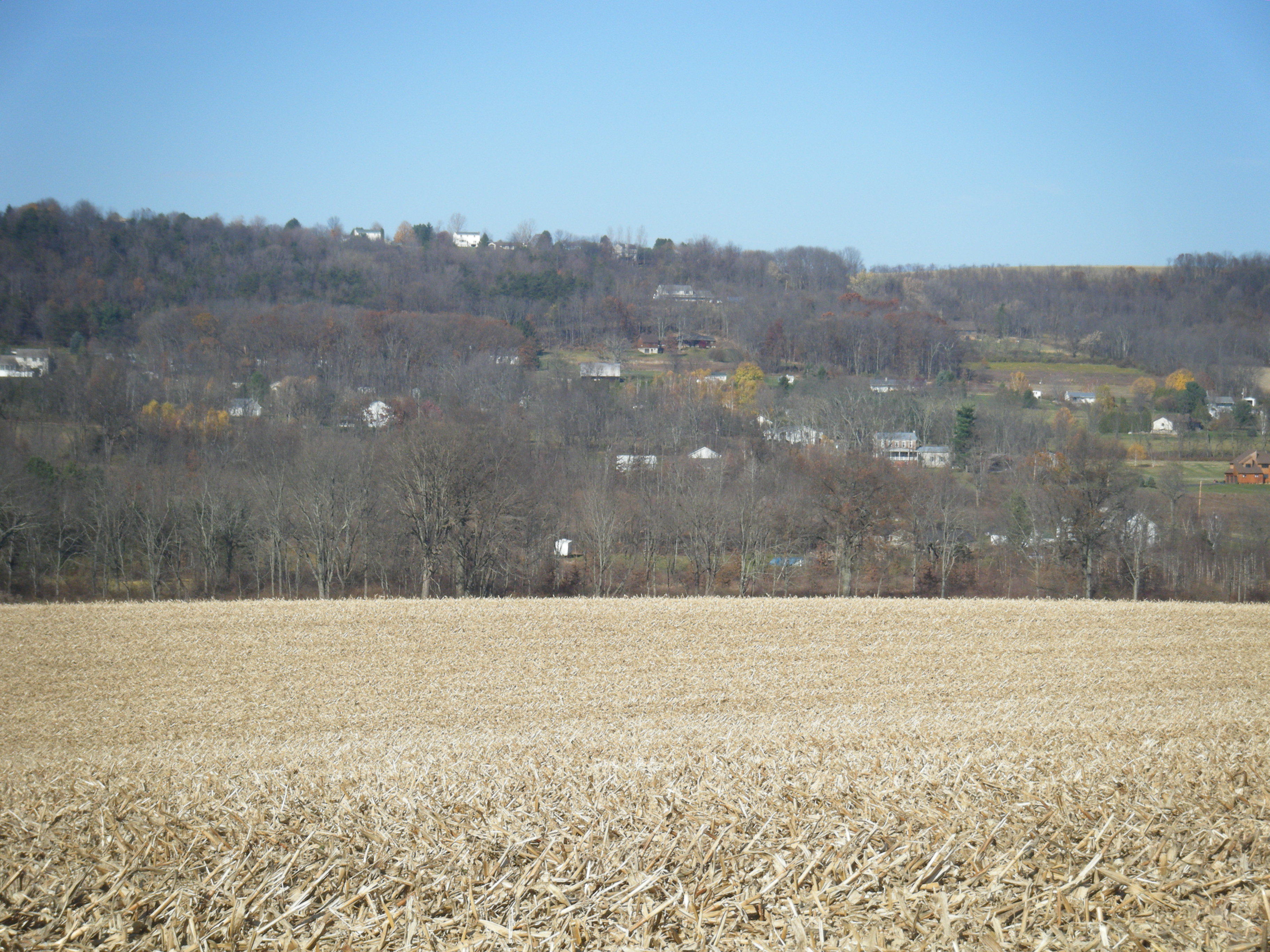 Harvested corn field in Autumn | Pics4Learning