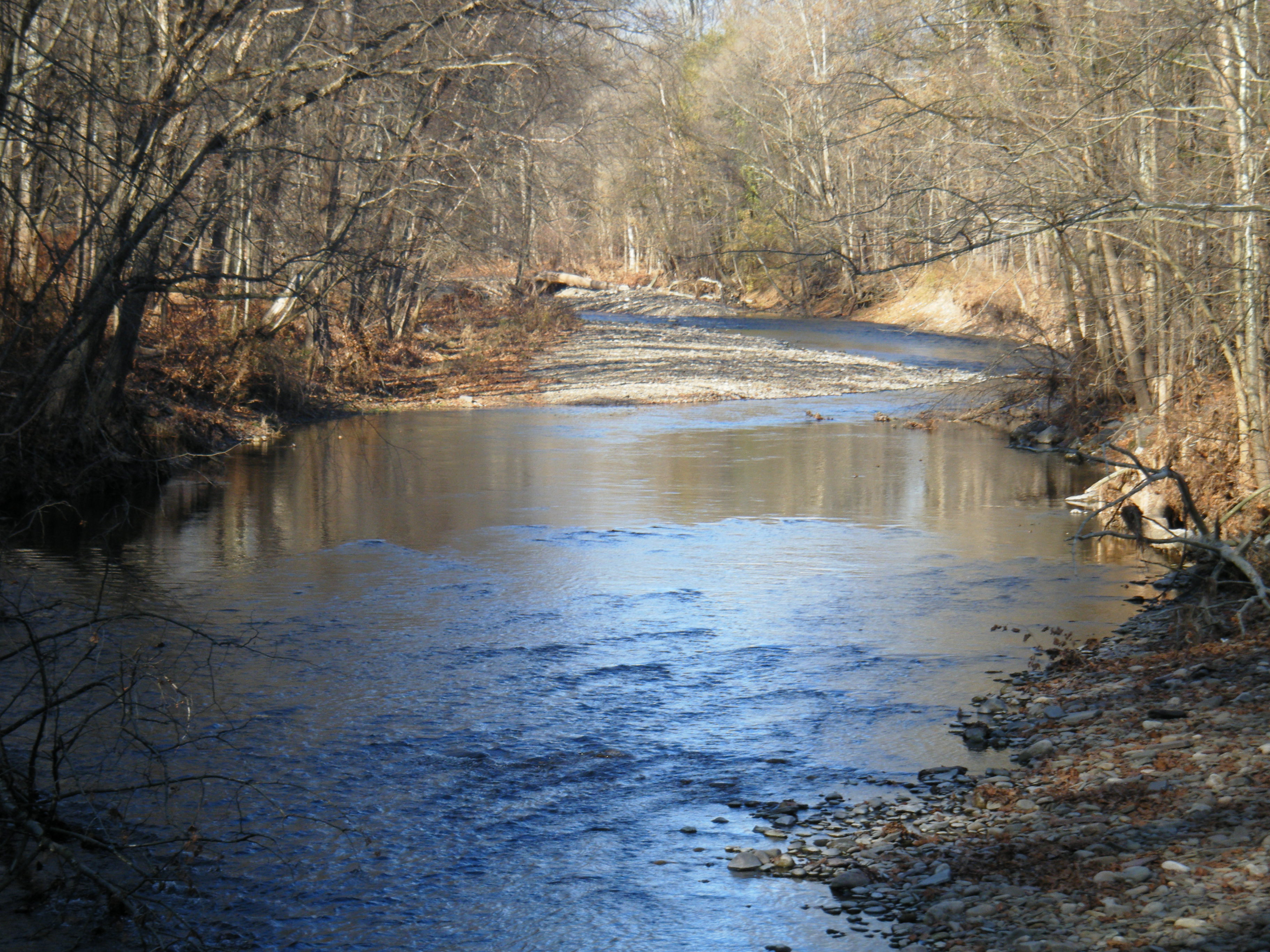Along Fishing Creek in Autumn | Pics4Learning