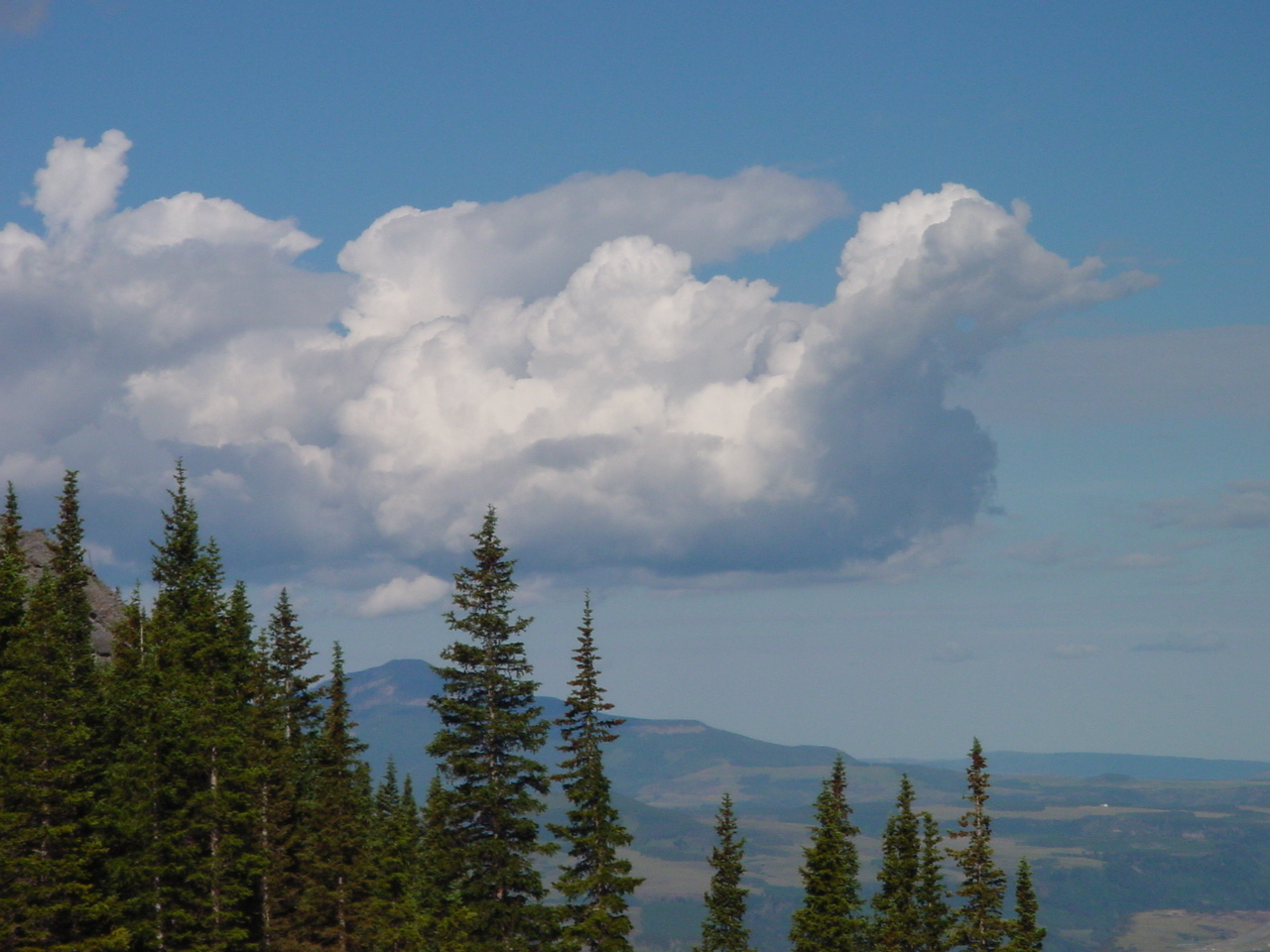 Duck Cloud | Pics4Learning