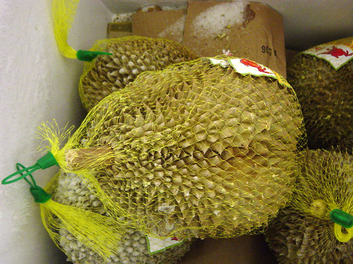 Durian | Pics4Learning
