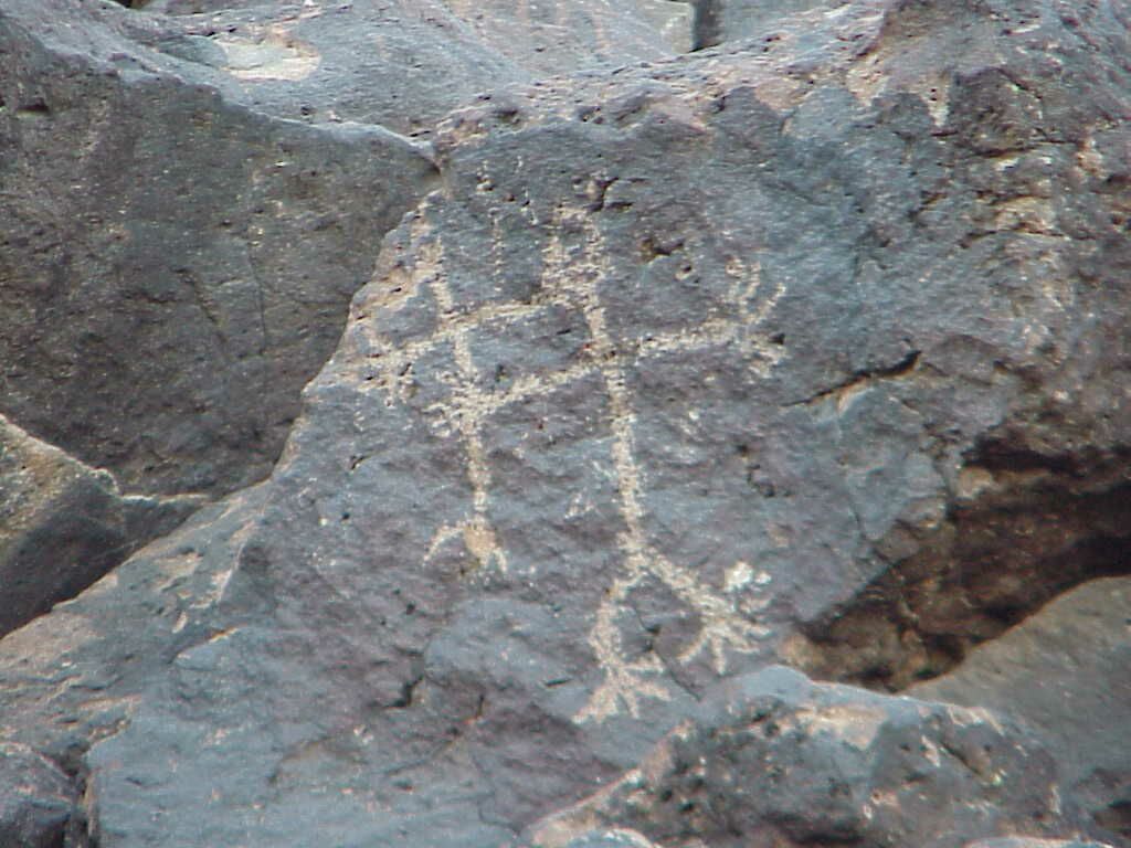 Human forms | Pics4Learning