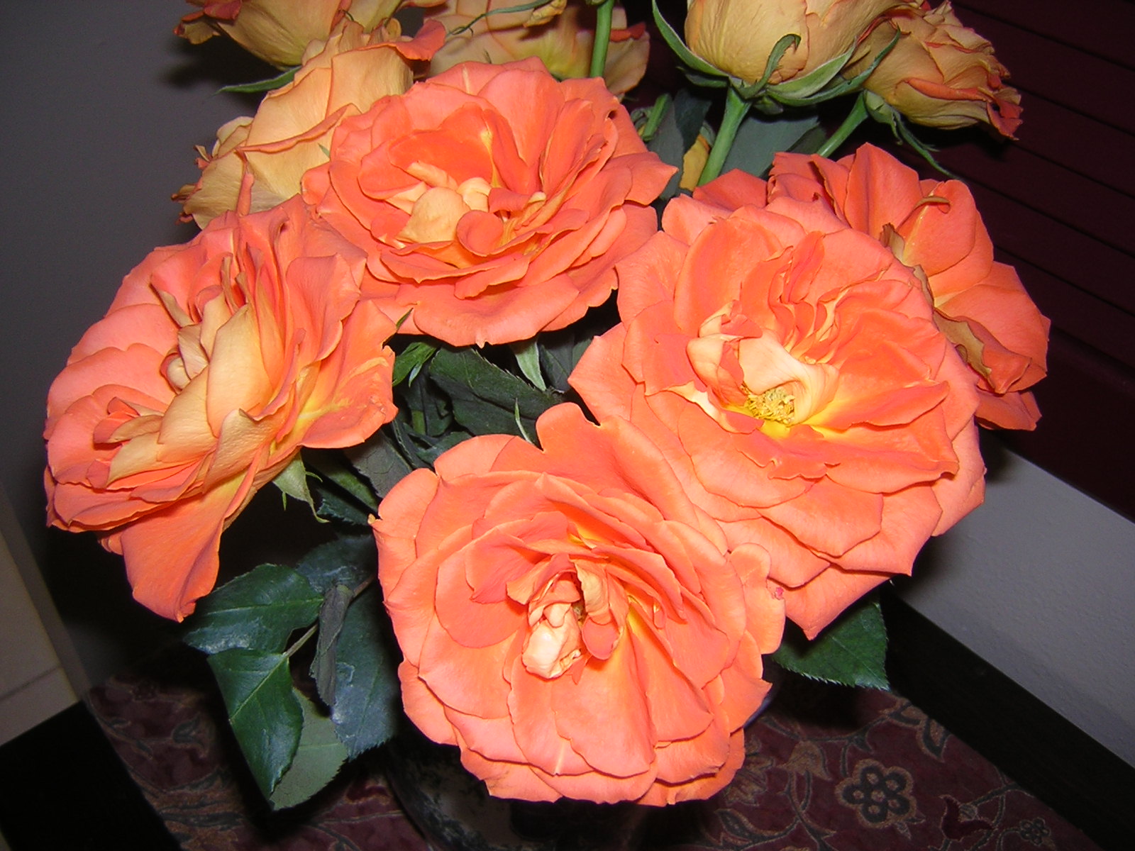 Peach Roses | Pics4Learning
