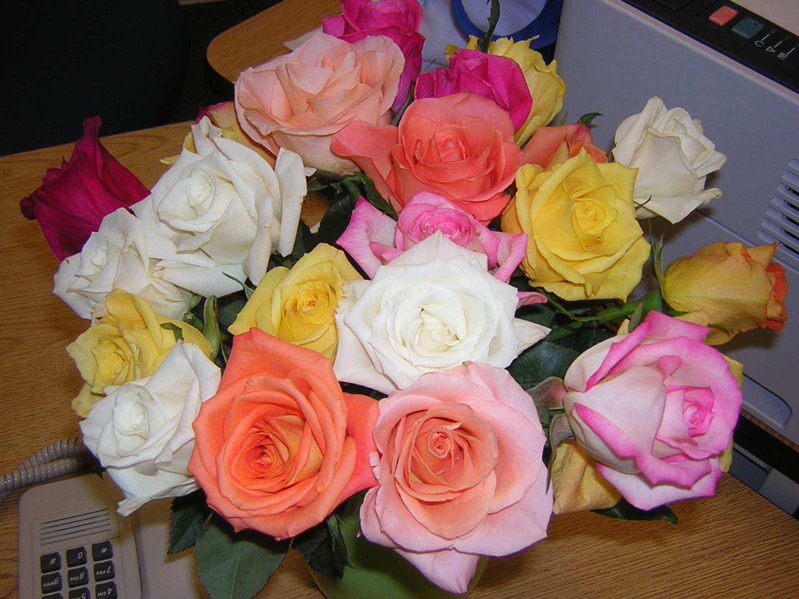 Roses | Pics4Learning