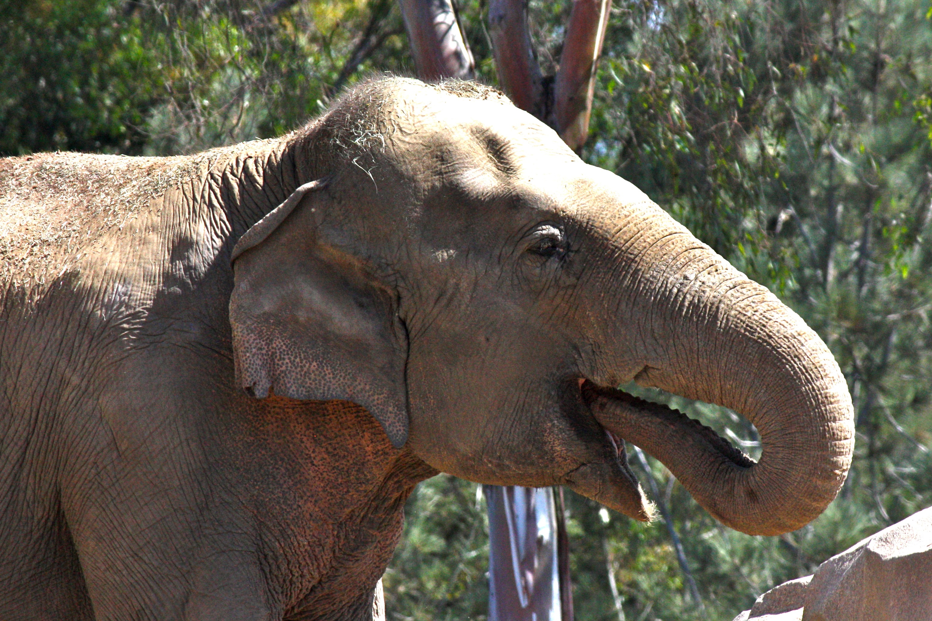 Snacking | Pics4Learning