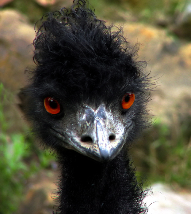 Whoosha! | Pics4Learning