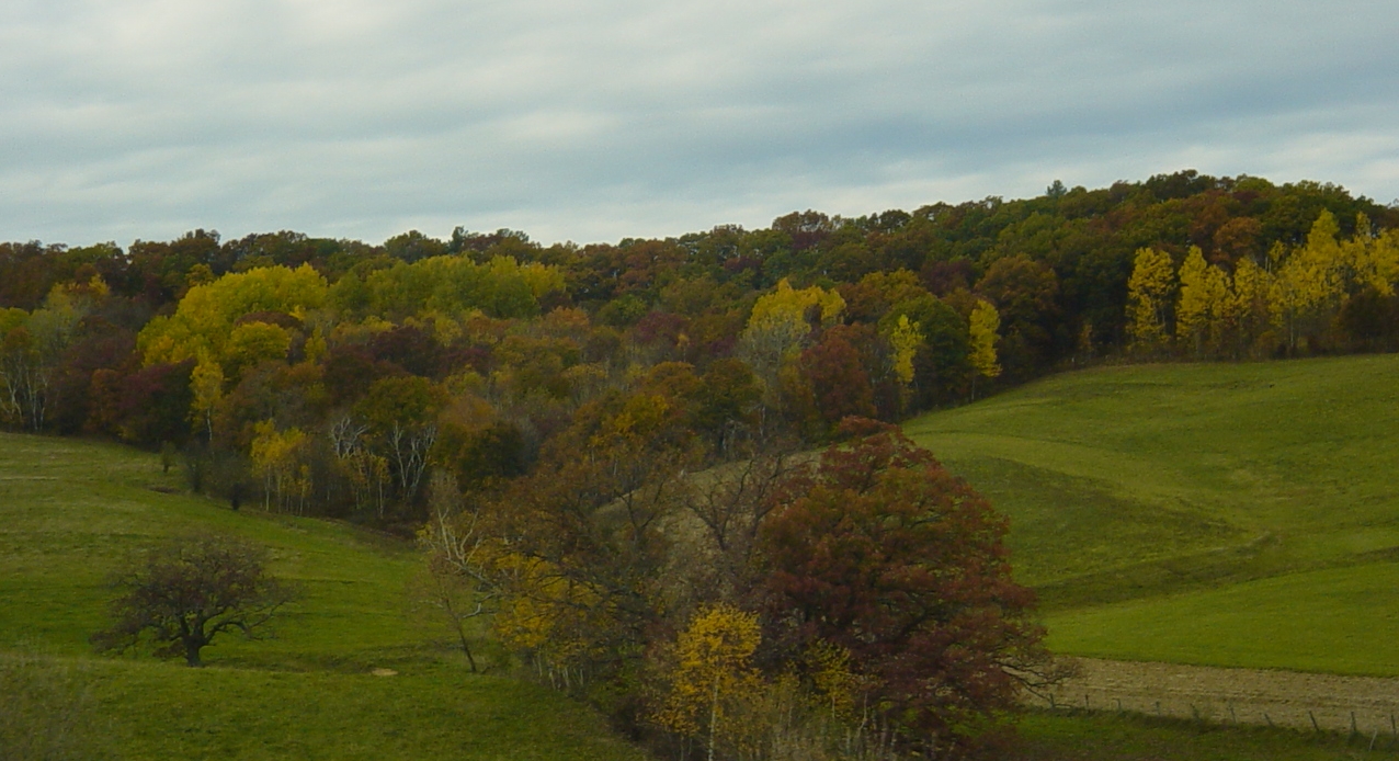 Fall Leaves in Wisconsin | Pics4Learning