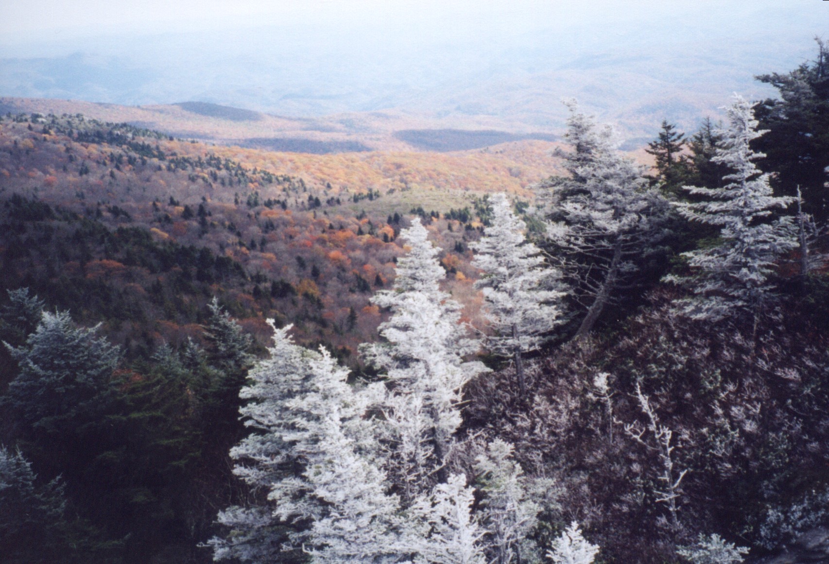 Fall and Frost | Pics4Learning