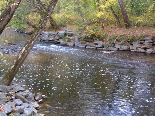 Babbling creek in the fall | Pics4Learning