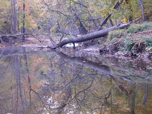 Fall at Rock Creek National Park | Pics4Learning
