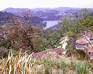 India countryside | Pics4Learning