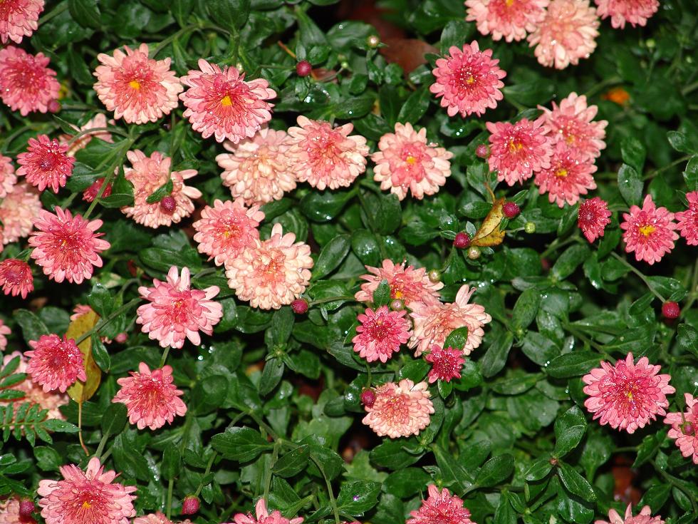 Kentucky | Pics4Learning