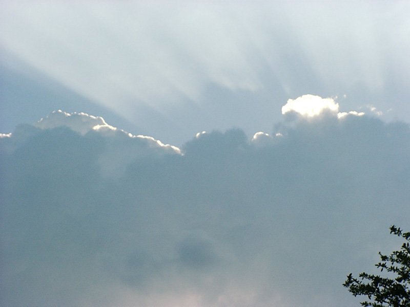 Florida Sky | Pics4Learning