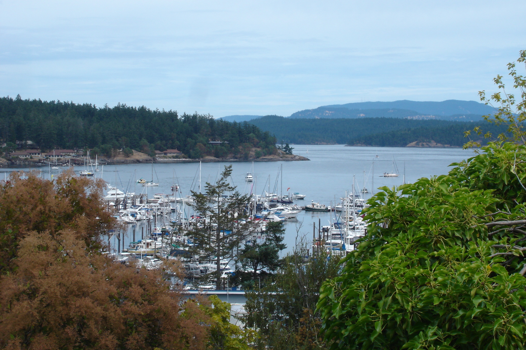 Friday Harbor | Pics4Learning