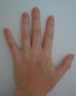 hand | Pics4Learning