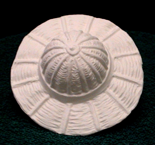 ceramic hat | Pics4Learning